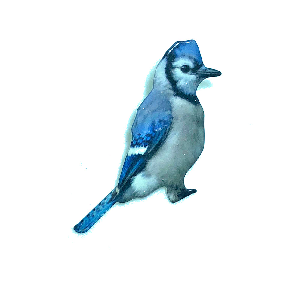 Blue Jay Pin, Item# 6088 | d'ears store
